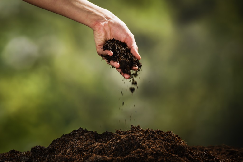 The Dangers of Soil Settlement and How You Can Fix It - House of Gordon